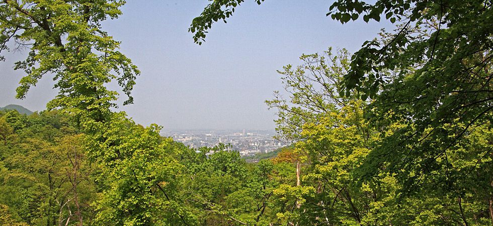 Climbing Mount Moiwa – Sapporo Mount Moiwa Ropeway